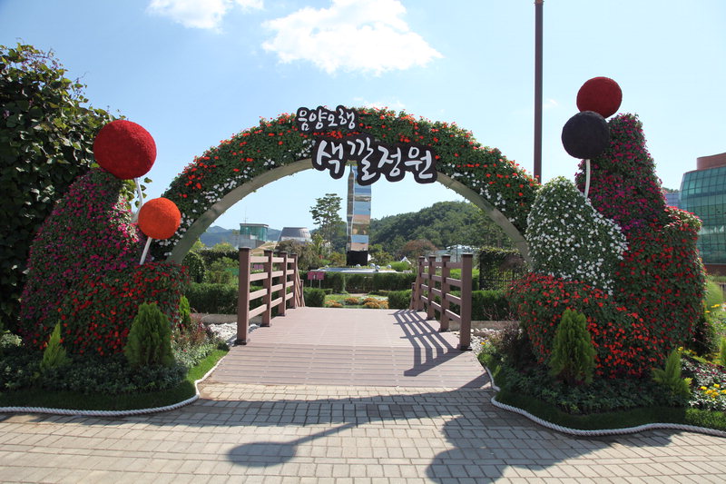 한방엑스포공원에 '음양오행 색깔정원'