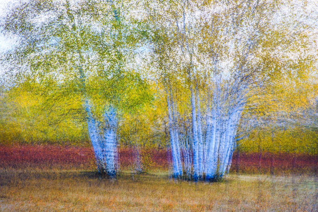 사진동아리 '디펙 램포토' 사진전