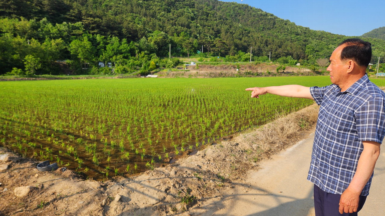 안내판도 기념비도 없는 보은 장안리 동학 취회지