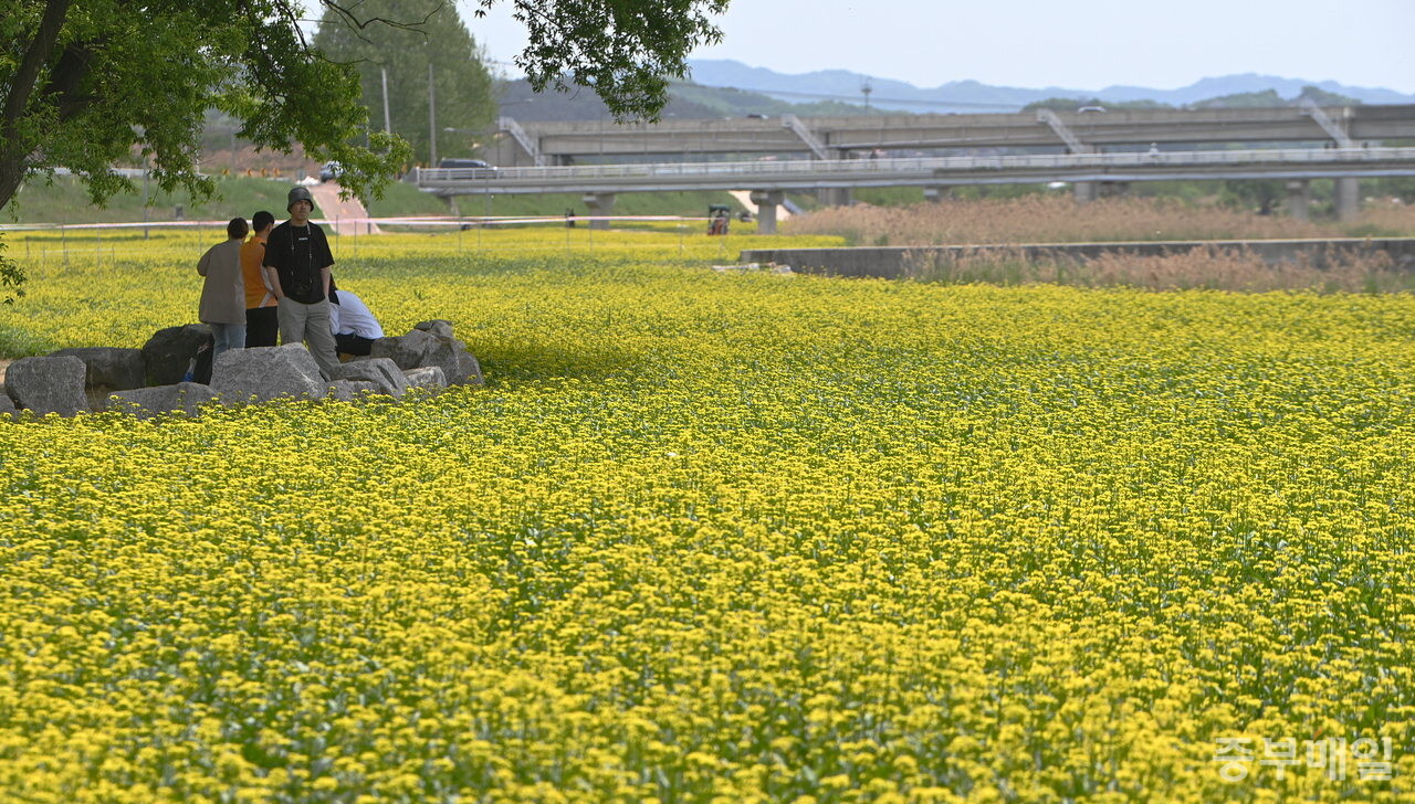 [조혁연의 말글로본역사] '솔개그늘'은 매우 작은 조각 그늘을 뜻해