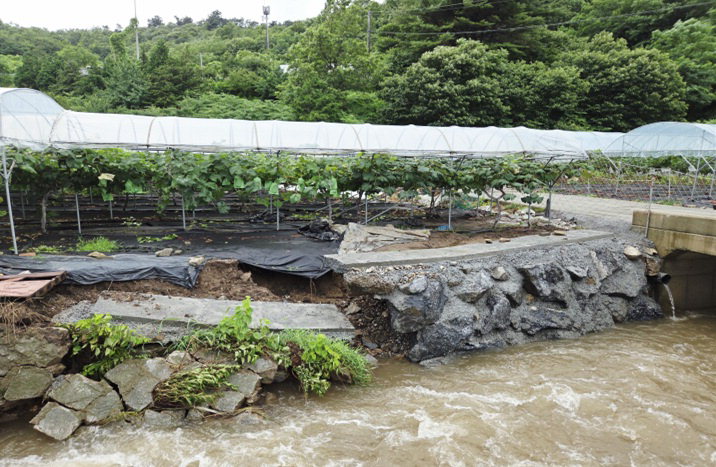 집중호우에 보령 곳곳 상흔… 주택 침수·농가 피해 막심