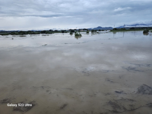 집중호우로 논산 일부 주민 600여명 긴급대피